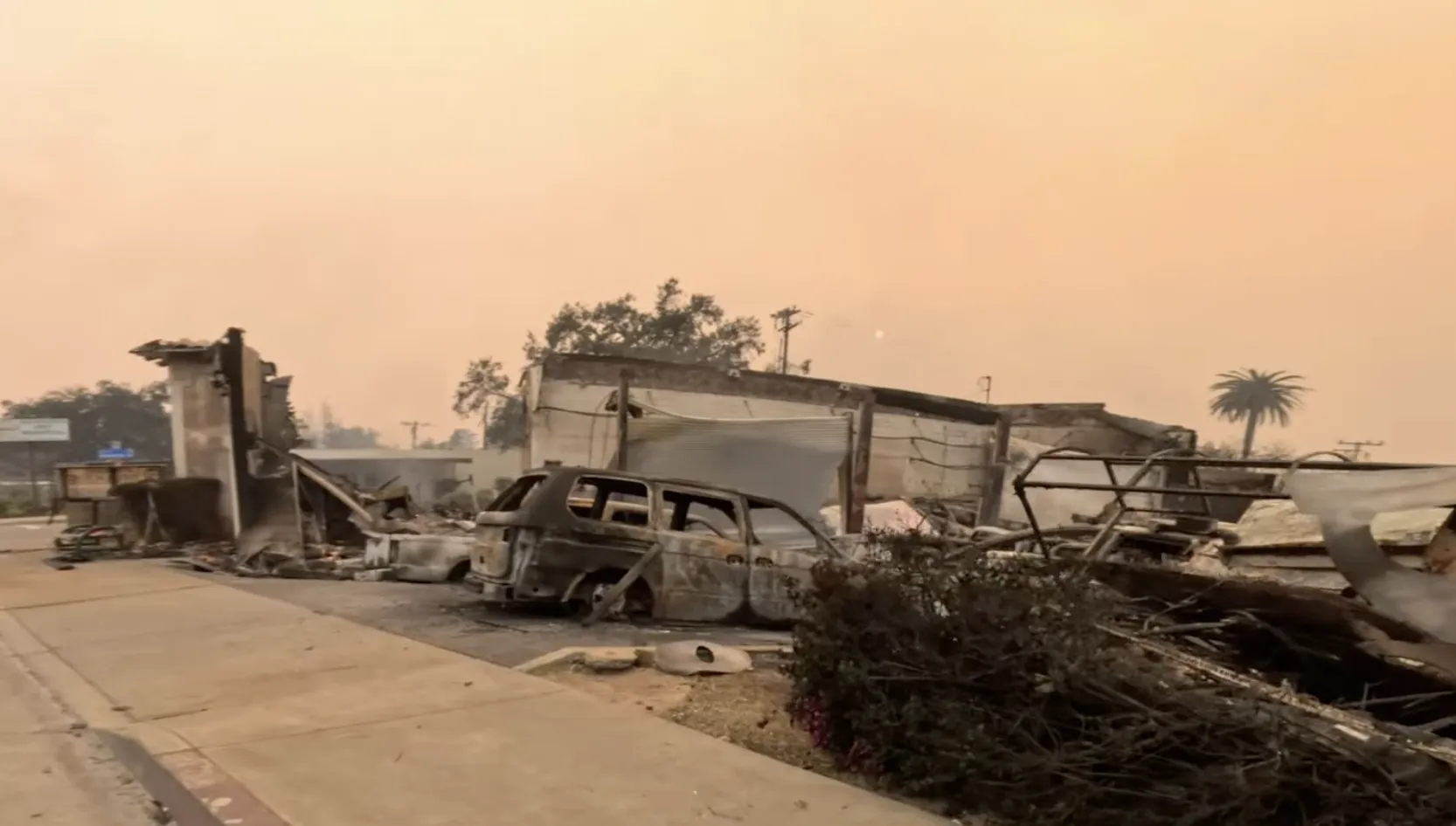Tesla Suspends FSD and Autopilot Strikes During LA WildFires | EV