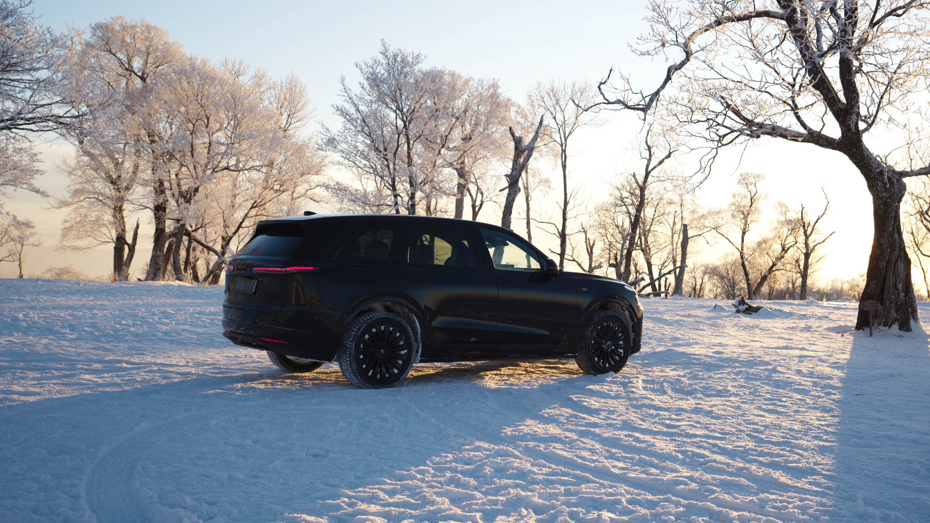 Onvo's February Deliveries Fall to Lowest Since Brand Launch | EV
